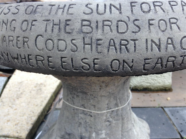 Apostrophe Abuse | Links and visuals illustrating an orthographic pet ...